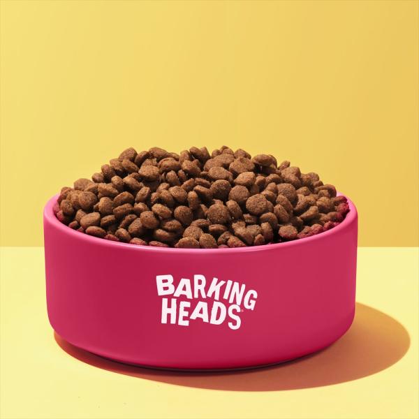 新商品 BARKING HEADS ドライフード のお試しサンプル 200g(40gx5袋)をご準備させていただきました。ぜひ一度お試しください。（※　お一人様1パックに限らせていただきます。）
