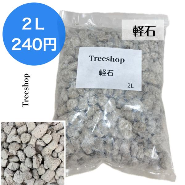 軽石はガーデニングでも活躍する用土のひとつで、通気性や、排水性が高いです。排水性とは水をためないことをいい過度な加湿を防いでくれる園芸資材です。