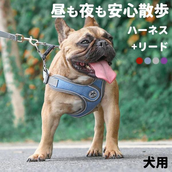 「サイズ」XS バスト(28-42CM) リード(150CM/1.5CM)S バスト(40-52CM) リード(150CM/1.5CM)M バスト(50-62CM) リード(150CM/2.0CM)L バスト(60-72CM) リード(15...