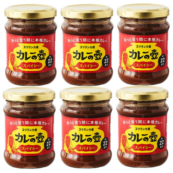 第3世界ショップ カレーの壺 スパイシー 220g×6個。小麦粉・動物性原料不使用アミノ酸等調味料・着色料無添加一般的なカレールウに比べ低カロリー（※）辛口タイプで大人向け肉料理によく合うローストスパイスの香ばしい風味1瓶で約20皿分ハラー...