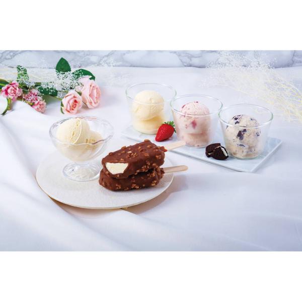 ハーゲンダッツの定番フレーバーからとっておきを集めました。ハーゲンダッツならではの多種にわたるフレーバーと濃厚な口当たりをお楽しみいただけます。消費者向け商品詳細（サイズ・容量、規格）【パッケージサイズ】235×165×190mm【内容】ミ...