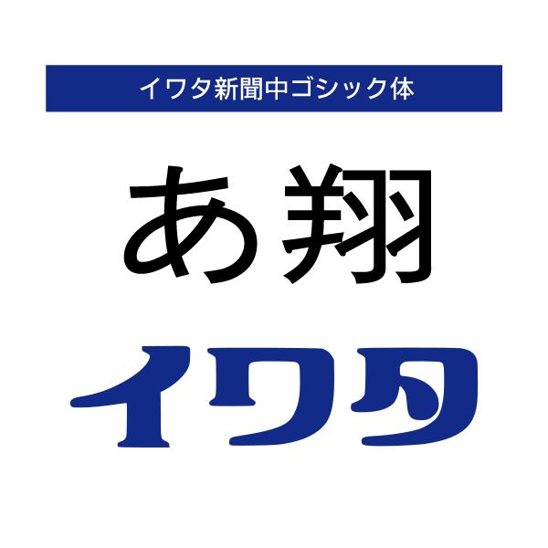 対応OSを必ずご確認ください。本製品の納品はEメールで行います、パッケージ等の物理的な納品はありません。@cs-customer.jp　のドメインを迷惑メールにならないように予め設定お願い致します。TrueType イワタ新聞中ゴシック体 ...