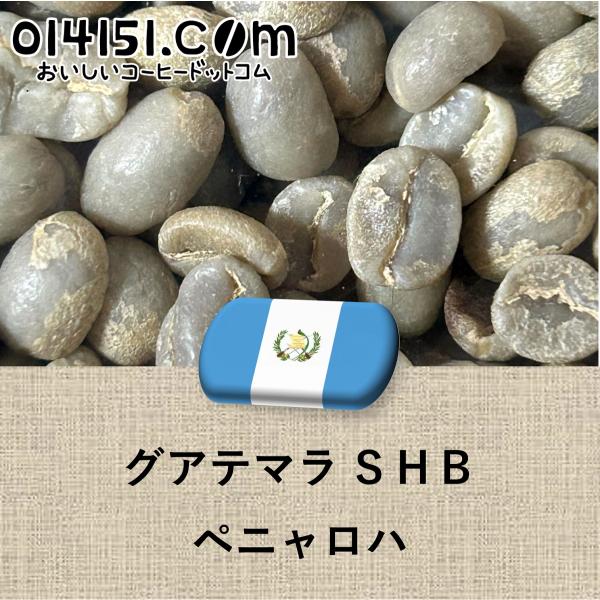 【状態】生豆（未焙煎）【内容量】907g (2ポンド)【生産地】グアテマラ共和国ウエウエテナンゴ【生産者】ペニャ ロハ生産者協同組合【品種】ブルボン種、カトゥーラ種【精製方法】フリーウォッシュド【標高】1,400〜1,800ｍペニャ ロハ生...