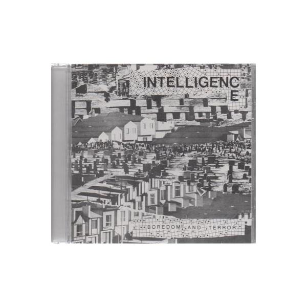 アーティスト：The Intelligence 全品アルコール除菌・清掃済みです。【輸入盤】帯なしです。レンタル・ネットカフェ落ちなどではございません。盤面に微小なすりキズがございますが、音とびなどは無く再生に影響はございません。ケースやリ...