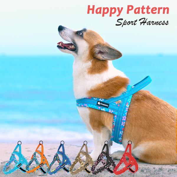 頭からかぶってとめるだけ!簡単かわいい快適スポーツハーネス抱き上げる必要が無くシニア犬にも楽々取付胴回りのバックルだけで簡単着脱！胴回りのサイズ調節が可能胴回りと胸元でホールドする犬用ハーネスで、アクティブな犬や引っ張り癖のある犬にも最適首...