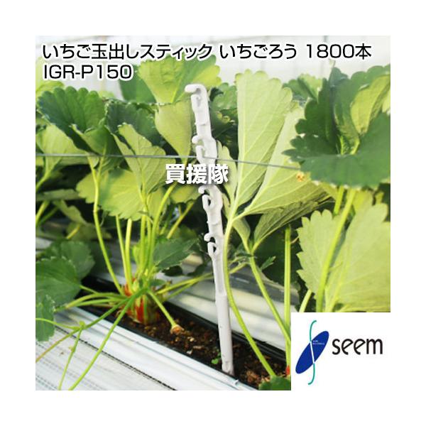 納期について：メーカー直送品(代引き不可)いちごの玉出しに！紐のかけ替えで高さ調整ができる、いちごろう【特長】生長に応じて4つの紐かけ部に紐をかけ替えることで、葉を抑え実に効率良く光を当てることができます。葉の生長が早い部分と遅い部分が有る...