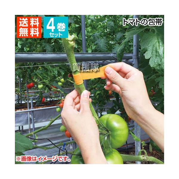 納期について：通常1〜3日で発送予定(土日祝除く)折れたトマトの枝を補修する不織布テープ水の代わりに、加熱した高速の水蒸気を吹き付けて繊維を瞬時に反応させるスチームジェット製法と、クラレの特殊原料を組み合わせることで誕生した不織布＜フェリベ...