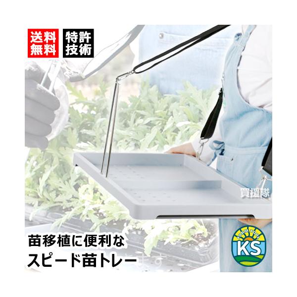 納期について：【取寄】通常3〜5日の発送予定(土日祝除く)●一人でも手軽に苗の植え付けができる、特許技術の苗植え専用トレー■仕様品名:KSFARM スピード苗トレー トレーサイズ:(外寸サイズ)幅608mm×奥行320mm×高30mm[バン...