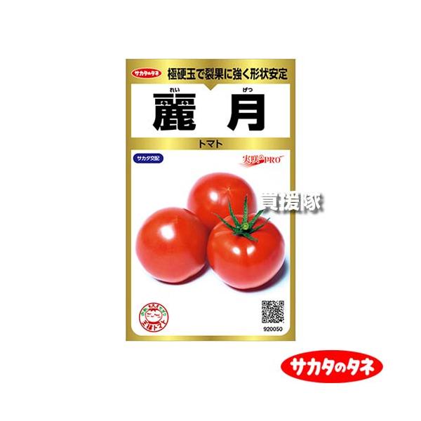 納期について：【取寄】通常3〜5日の発送予定(土日祝除く)サカタ交配食味抜群トマトがたくさんとれる病気に強く、収穫した果実の日持ちもよい品種。食味はとてもよく、裂果も少ないのでぜひ真っ赤に熟してから食べてみてください。草勢はややおとなしめで...