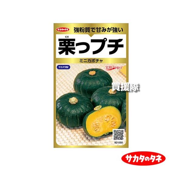 納期について：【取寄】通常3〜5日の発送予定(土日祝除く)売れてます　サカタ交配　ホクホク感と甘みがたまらない果実が500〜600gと小さいながら、ホクホク感と甘さでは他に負けません貯蔵性も抜群。つる1本に3〜4個着果するのでたっぷり収穫で...