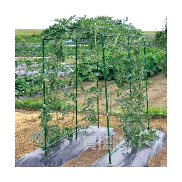 納期について：通常1〜3日で発送予定(土日祝除く)小型カボチャ、小玉スイカ、キュウリ、ゴーヤ、エンドウなどの、つる野菜の空中栽培が楽しめます。地這い栽培ができない時の小スペース栽培に。広い間口でメンテナンス（剪定・収穫作業）がラクに行えます...