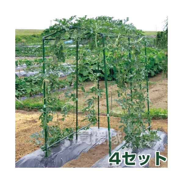 納期について：通常1〜3日で発送予定(土日祝除く)小型カボチャ、小玉スイカ、キュウリ、ゴーヤ、エンドウなどの、つる野菜の空中栽培が楽しめます。地這い栽培ができない時の小スペース栽培に。広い間口でメンテナンス（剪定・収穫作業）がラクに行えます...