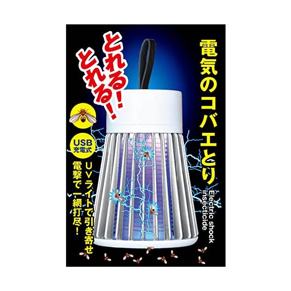 ライトで誘ってバチっと瞬殺！薬剤を使わず虫を撃退！