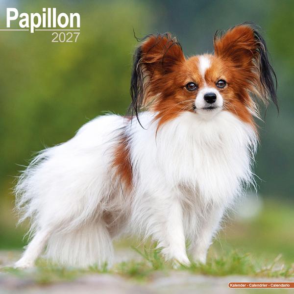パピヨン 犬種別 2027 輸入カレンダー Avonsideサイズ:12インチ×12インチ      約30.5cm×30.5cm      使用時：約30.5cm×61.0cm種類:    イギリス エーボンサイドAvonside Pub...