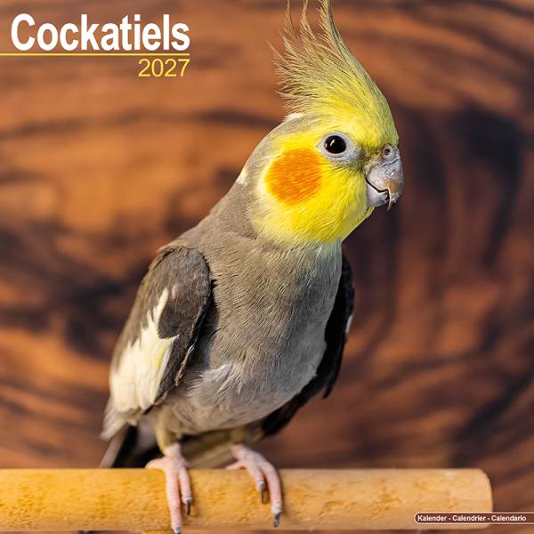 オカメインコ 動物別 2027 輸入カレンダー Avonsideサイズ:12インチ×12インチ      約30.5cm×30.5cm      使用時：約30.5cm×61.0cm種類:    イギリス エーボンサイドAvonside P...
