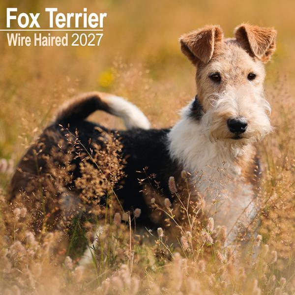 ワイヤーフォックス テリア 2027年 犬種別 輸入カレンダー Avonsideサイズ:12インチ×12インチ      約30.5cm×30.5cm      使用時：約30.5cm×61.0cm種類:    イギリス エーボンサイドAv...