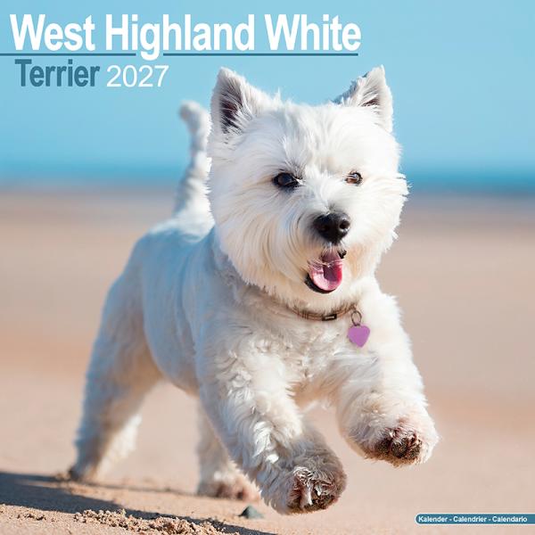 ウエストハイランド・ホワイトテリア 犬種別 2027 輸入カレンダー Avonsideサイズ:12インチ×12インチ      約30.5cm×30.5cm      使用時：約30.5cm×61.0cm種類:    イギリス エーボンサイ...