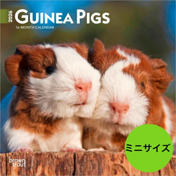 サイズ:7インチ×7インチ      約17.8cm×17.8cm      使用時：約17.8cm×35.6cm種類:    アメリカBrown troutカレンダー/スクエアタイプ・ミニサイズ(正方形タイプ)配送:ネコポス便でお届け複数...