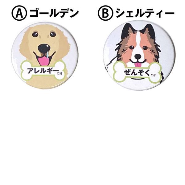 大きめサイズ。花粉症を可愛くアピール♪トラブル防止にも缶バッチ 缶バッジ 花粉症です アレルギーです ぜんそくです ゴールデンレトリーバー ゴールデンレトリバー シェットランドシープドッグ シェルティー 直径54mm 鼻水 鼻たれ 犬 犬種...