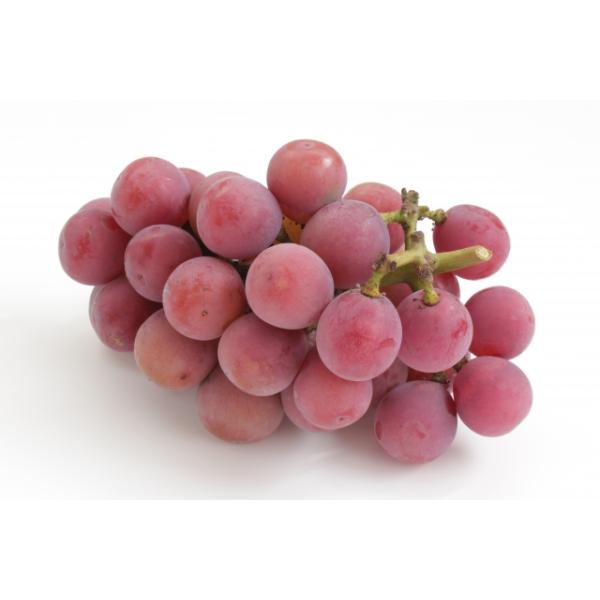 【発売日：2026年09月10日】当商品は、予約販売の商品となります。2026年9月に順次発送となる予定です。青森の昼夜の寒暖差を利用して、根域制限栽培や自動灌水により、しっかりと栄養を取りこんだ甘さ際立つクインニーナです。クインニーナは、...