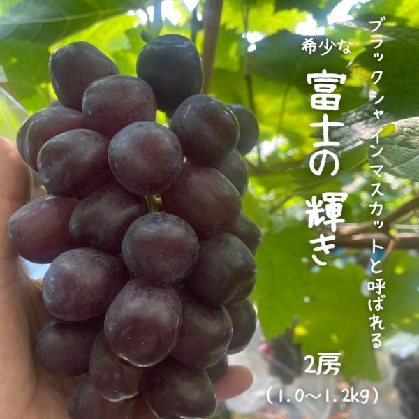 【発売日：2026年10月19日】青森の自然が育んだ、上品な甘みとマスカット香を愉しめるぶどう。「富士の輝き」は、当農園で丹精込めて育てられた高級品種です。一粒一粒が宝石のように輝き、口に含むと果汁があふれ出す濃厚な甘みと芳醇な香り。その上...