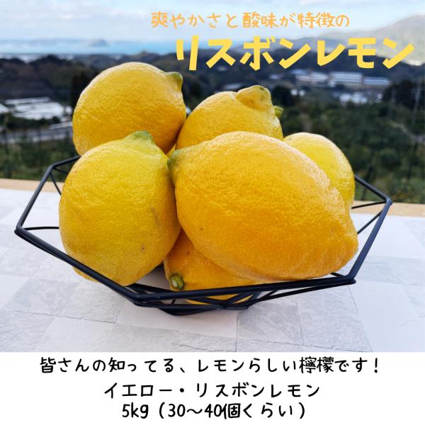 【発売日：2026年01月05日】爽やかな香りとシャープな酸味が特徴のリスボン種です。防腐剤・防カビ剤・ワックス不使用なので皮までしっかり使って頂けます。レモンサワーに入れるとすっきりした酸味とレモンの香りがしっかり感じられます。スイーツや...