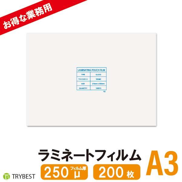 1枚約49円とお得な業務用パックです。サイズ：303×426mm A３枚数：200枚厚さ：250ミクロン
