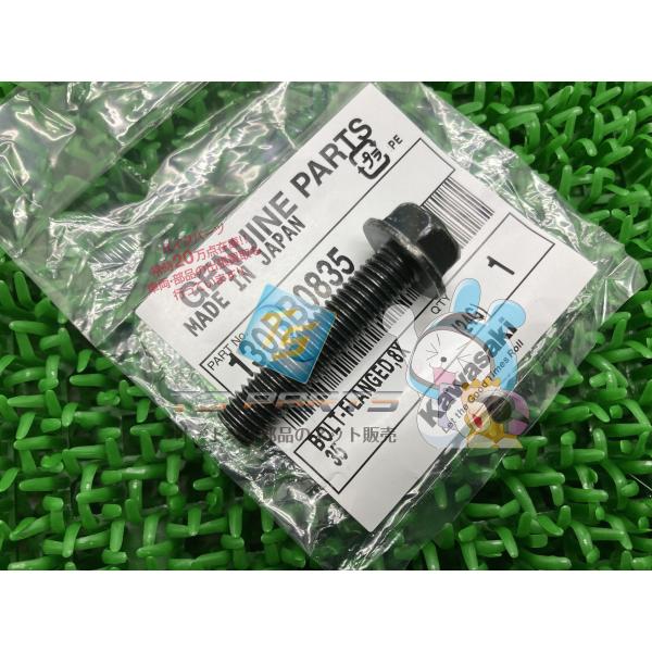 参考データ●メーカー：カワサキ●車名：バルカン900クラシック●共用車種：バルカン1700ボイジャーABS/バルカン1700ヴァケーロ/バルカン1700ヴァケーロABS/バルカン1700ボイジャー/バルカン1700ボイジャーカスタムABS/...