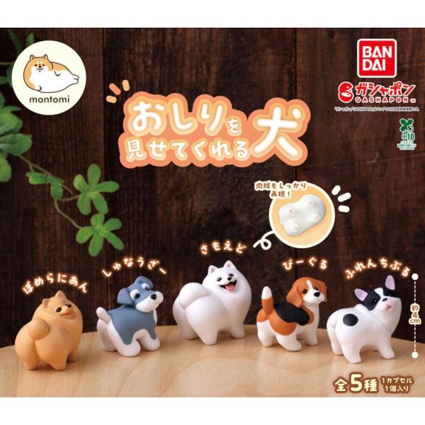【発売日：2026年05月31日】ガチャガチャ商品の公式発売日予定は5月となっておりますが全国的な入荷状況により実際の納期が1〜2週間程度遅れる場合がございます。当社に入荷次第、速やかに発送させていただきますがガチャガチャ特有の納期の関係で...