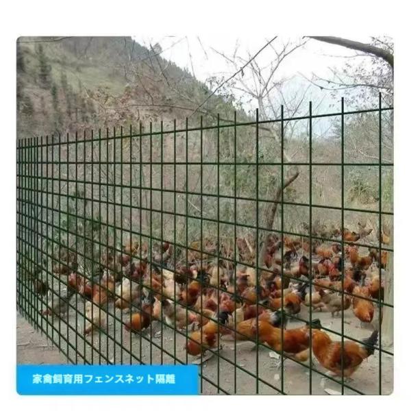 材質：高品質の冷間引抜鉄線、より硬く、壁や地面の建物のひび割れ防止に役立ちます省スペース：金網は簡単に輸送および保管できるように丸められており、使用しないときは簡単に丸めることができます製品の長さ：各ロールは1.2m（H）x 30m（L）、...