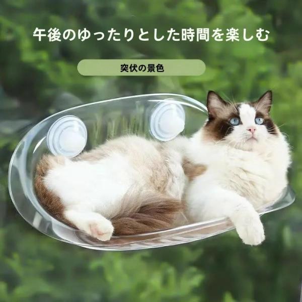 ■素材：PP、AS■サイズ：500*305*200mm耐荷重：20ＫＧ