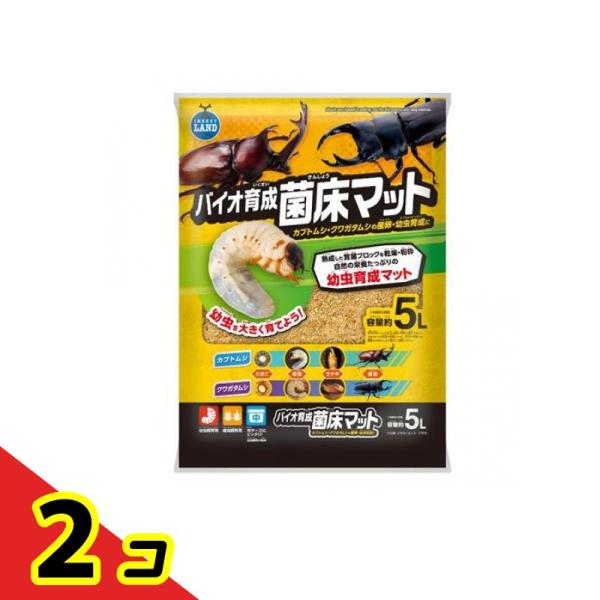 使用期限は6カ月以上先のものを送ります。