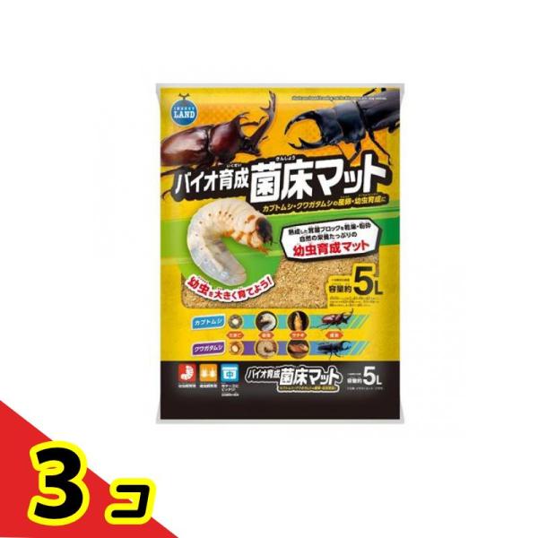 使用期限は6カ月以上先のものを送ります。