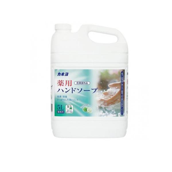 ●カネヨ石鹸 カネヨ薬用ハンドソープ ●殺菌・消毒タイプの薬用ハンドソープ。●爽やかなシトラスの香り。●泡ポンプ・液体ポンプ兼用。●医薬部外品。●販売名：カネヨ YHS