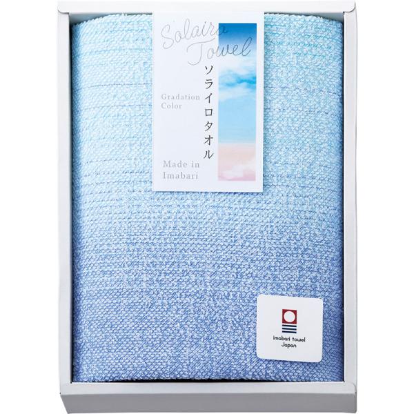 内容：320×750mm お歳暮 お中元 年末年始ギフト 季節ギフト 冬ギフト 夏ギフト 法人ギフト ご進物 贈答品 フォーマルギフト ギフト プレゼント 贈り物 粗品 記念品 お礼 ご挨拶 御挨拶 引越しギフト 引っ越しギフト 退職挨拶 ...