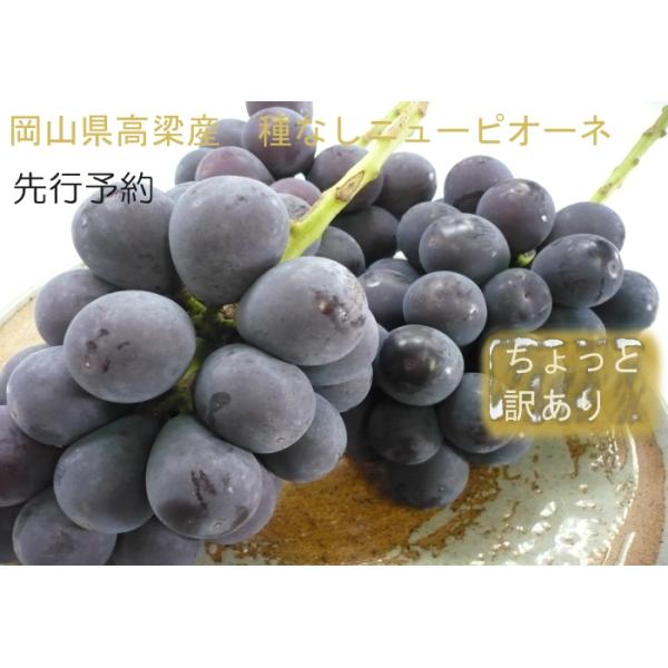 【発売日：2026年09月10日】岡山県産 農家直送 ニューピオーネ ご家庭用   ちょっと訳あり 4kg満杯づめ  形状・房の大きさが不揃いで　粒の小さい房も入りまが食味は影響はございません。その分お安くなっています。