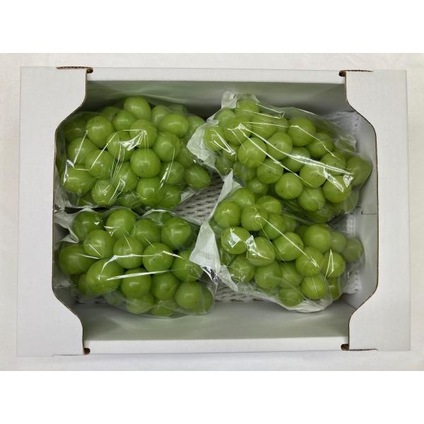 【発売日：2026年10月10日】【予約】岡山県産 農家直送 シャインマスカット　ご家庭用  2kg 生食用 3-4房入り