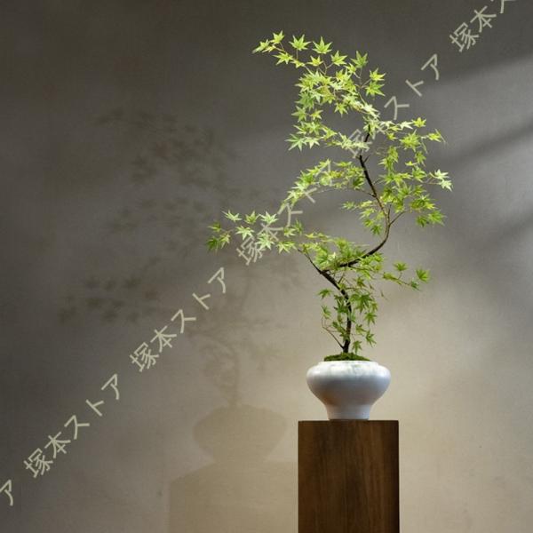 【発売日：2025年03月19日】（100cmの人工植物+27*20CMの陶器鉢）手動での組み立てと調整が必要。サイズが写真に示す寸法を参考にしてください。こちらの製品は、プラスチックで作られており、リアルな触感が特徴です。人工盆栽素敵なベ...