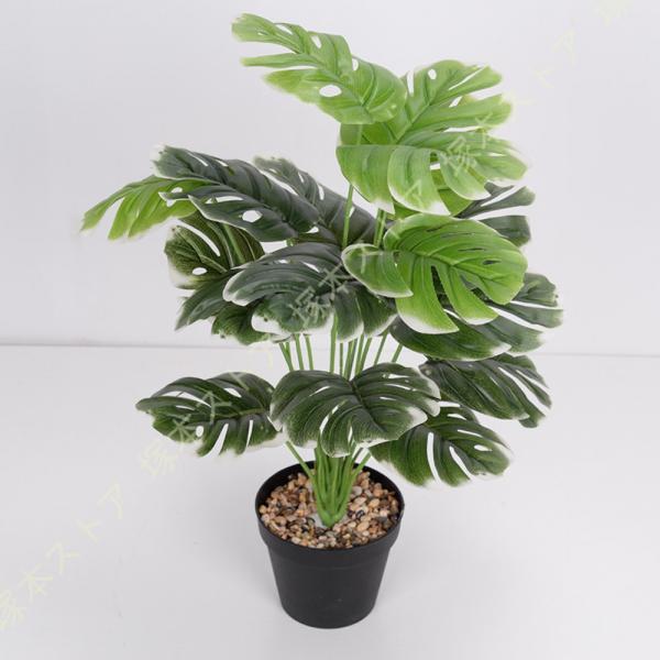 【発売日：2023年06月07日】１、【素材】人工観葉植物（プラスチック）、ポット鉢付き。２、【 高さ：34cm、55cm、70cm。】【本物そっくり】上質なプラスチック(PE)で作製されて、色褪せにくく、長持ちです。存在感のあるフェイクグ...