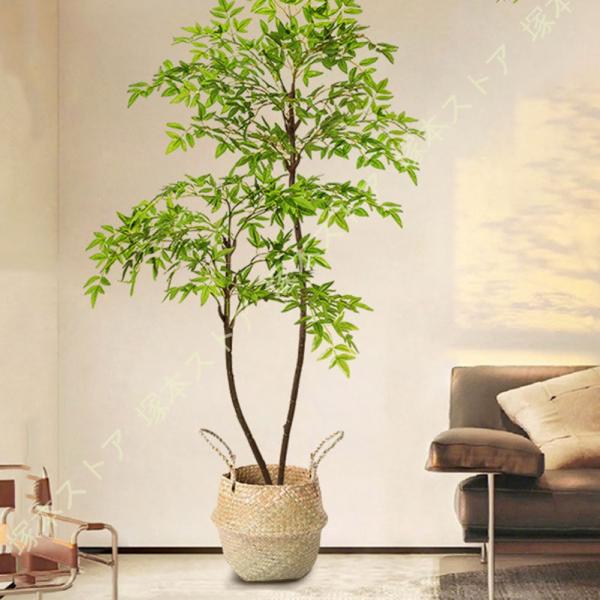 【発売日：2025年01月24日】自然な雰囲気を演出し、空間に豊かな緑をもたらします。安心して飾っていただける商品です。１、サイズが写真に示す寸法を参考にしてください。２、セットでご購入の場合、サイズの関係上、人工植物1パックと鉢1パックを...