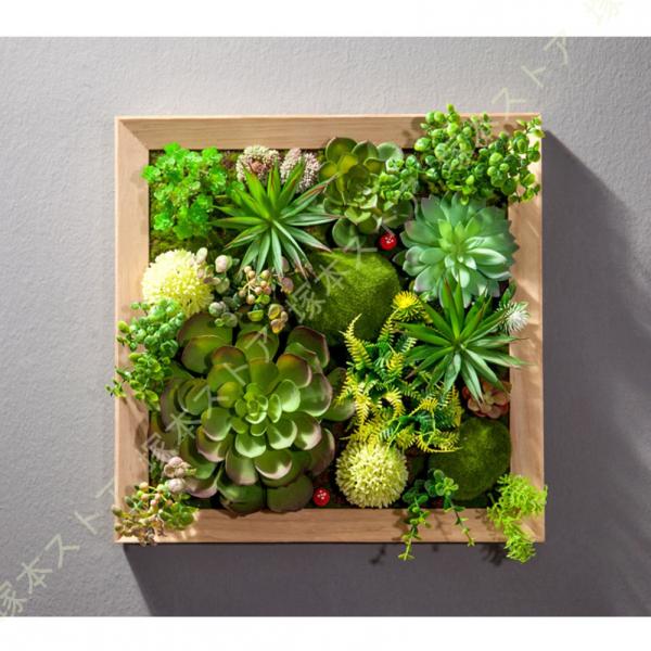 【発売日：2025年06月18日】【直径。詳細については、写真を参照してください。】【存在感、ウォールグリーン】壁に飾ることができるおしゃれな木枠のウォールグリーンです。シュガーバイン、グリーンネックレスなどのツタ植物、多肉植物、サボテン、...