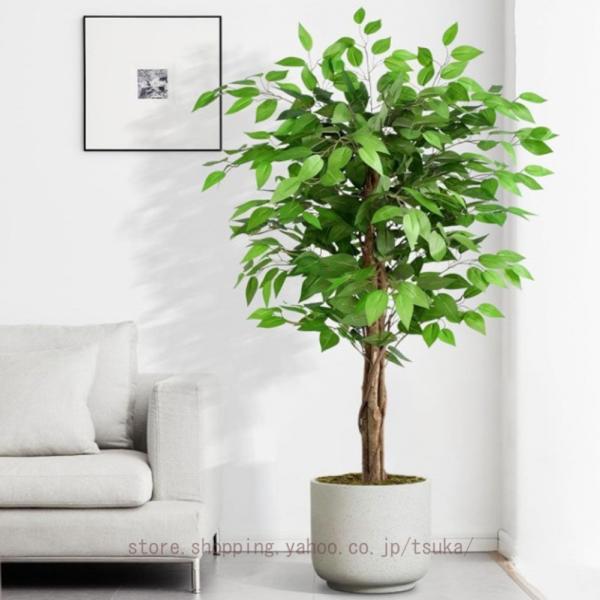 【発売日：2025年10月07日】【梱包内容】観葉植物本体 x1 、黒い鉢 x1  ! ※写真の白い鉢は撮影用ですので含まれておりません!より大きな装飾植木鉢に置くことをお勧めします! ※簡単な組み立て!輸送を容易にするため、開封後に簡単の...