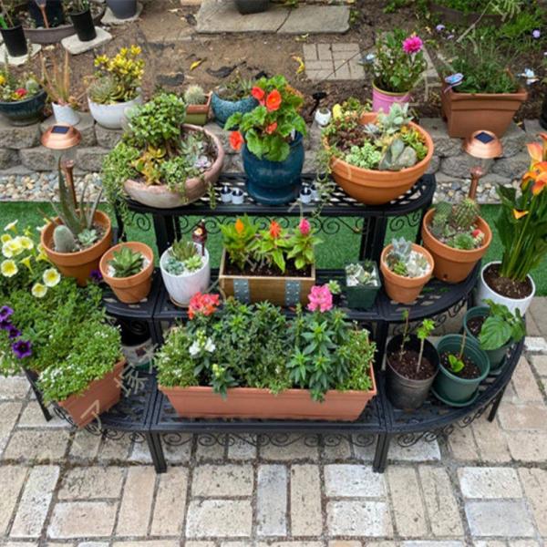 【発売日：2025年09月01日】【大容量の多層デザイン】3層プラントスタンドは、複数の植木鉢に対応し、植物に十分な展示スペースを提供するために6層に巧妙に設計されています! 階層型の保管は、それぞれの植物の美しさを引き出すだけでなく、植物...