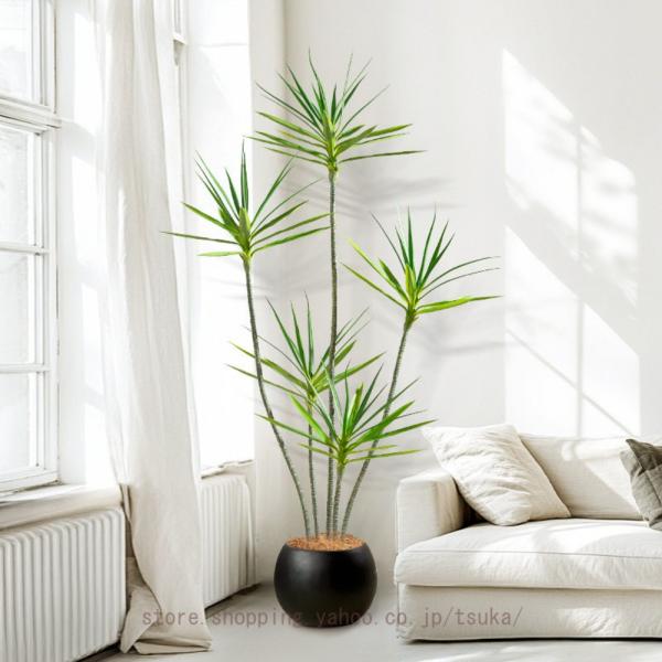 【発売日：2025年08月25日】■素材：本体・葉=ポリエステル■ フォルムを自由に調整できる!■ ペットや小さなお子さまがいても安心!■ 長期不在でもそのまま飾れる!■ 植物アレルギーの方にも配慮できる!■ フェイクグリーンは、リビングや...