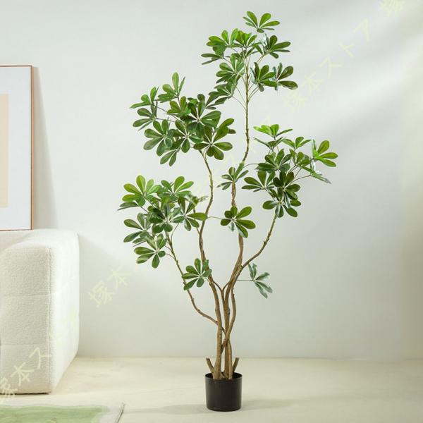 【発売日：2025年09月04日】■素材：本体・葉=ポリエステル■ フォルムを自由に調整できる!■ ペットや小さなお子さまがいても安心!■ 長期不在でもそのまま飾れる!■ 植物アレルギーの方にも配慮できる!■ フェイクグリーンは、リビングや...