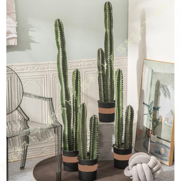 【発売日：2025年11月01日】■素材：本体・葉=ポリエステル■ フォルムを自由に調整できる!■ ペットや小さなお子さまがいても安心!■ 長期不在でもそのまま飾れる!■ 植物アレルギーの方にも配慮できる!■ フェイクグリーンは、リビングや...