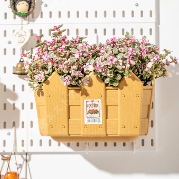 【発売日：2023年05月08日】商品の説明 壁掛けが便利：多種の空間を掛けることができ、荷重力が強い。アスファルトネットの設計：排水効果が良く、腐根現象を防止する。厚い材質：厚い材質は材料が十分で、丈夫で長持ちする。スタイル:シンプルサイ...