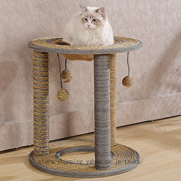 【発売日：2025年04月12日】適用対象：子猫から大型猫まで