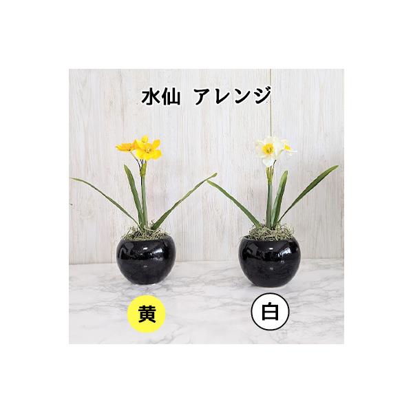 インテリア ディスプレイ 装飾 おしゃれ かわいい 新築祝い 開店祝い お祝い プレゼント 誕生日 お店の内装