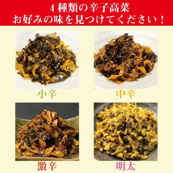 「福岡県産辛子高菜」のお試しセットに明太をプラスしました!小辛・中辛・激辛の3点に明太をプラスした”お試し4点セット”です。■内容量:各160g×4袋入り【明太】■原材料：高菜(福岡県産）、バラ明太子（すけとうだらの卵、米発酵調味料、食塩、...
